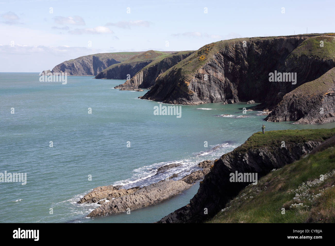 Layered and folded cliff rocks near Ceibwr on the South Wales coastal ...