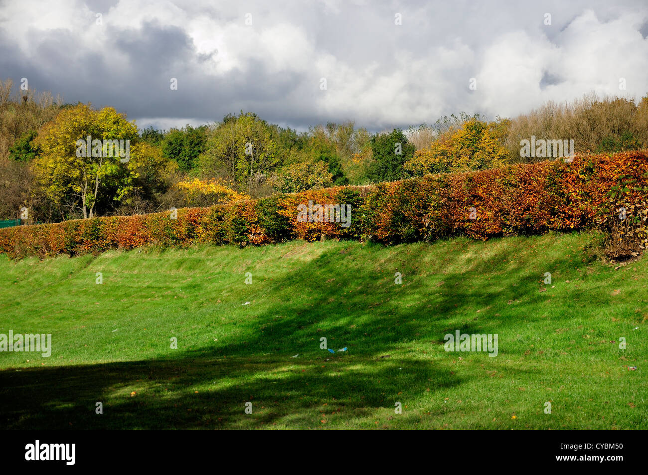 Autumnal colour changes in hedge fencing an unseen path Stock Photo - Alamy