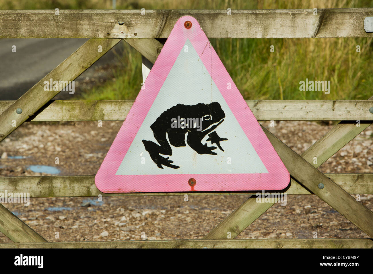 Toad warning sign on a country road, Slaidburn UK Stock Photo - Alamy