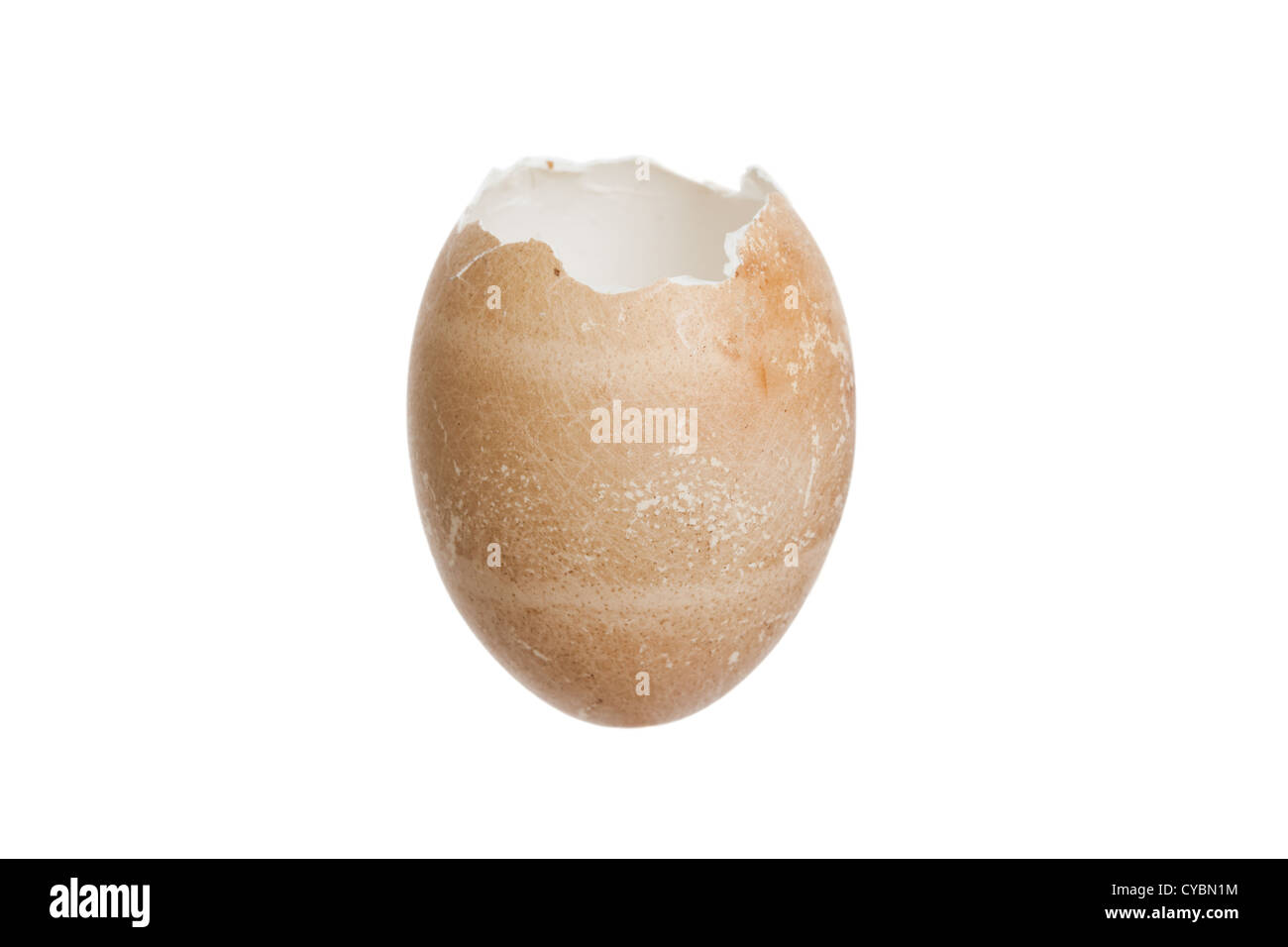 Broken brown egg shell with white background Stock Photo - Alamy