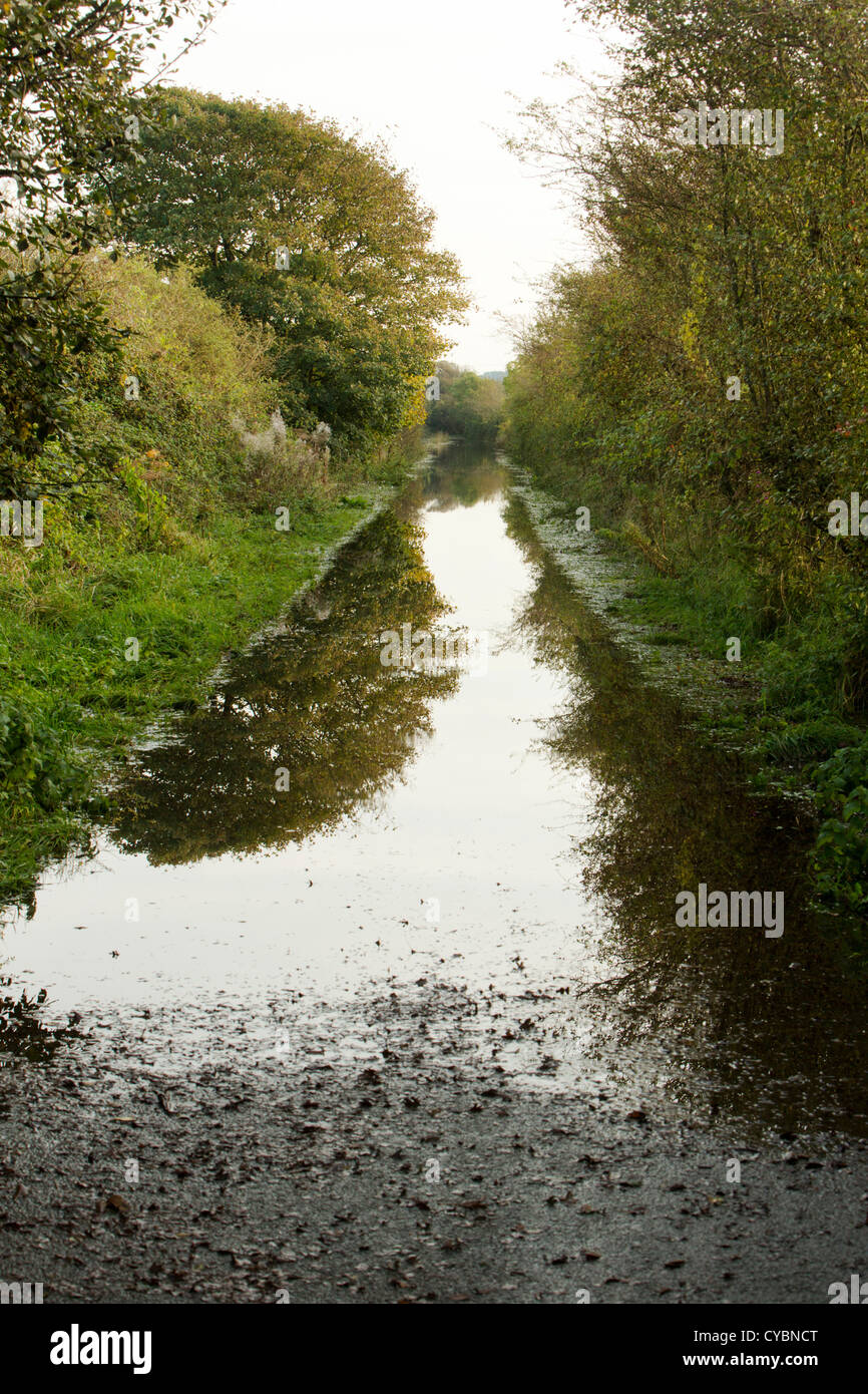 Flooded pathway hi-res stock photography and images - Alamy