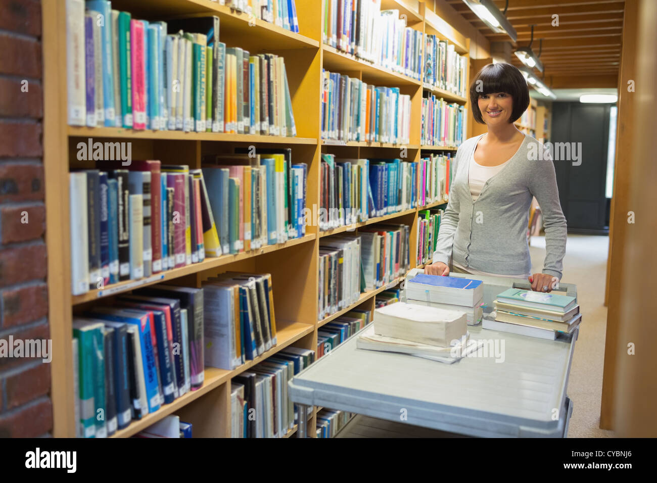 Librarian hi-res stock photography and images - Alamy