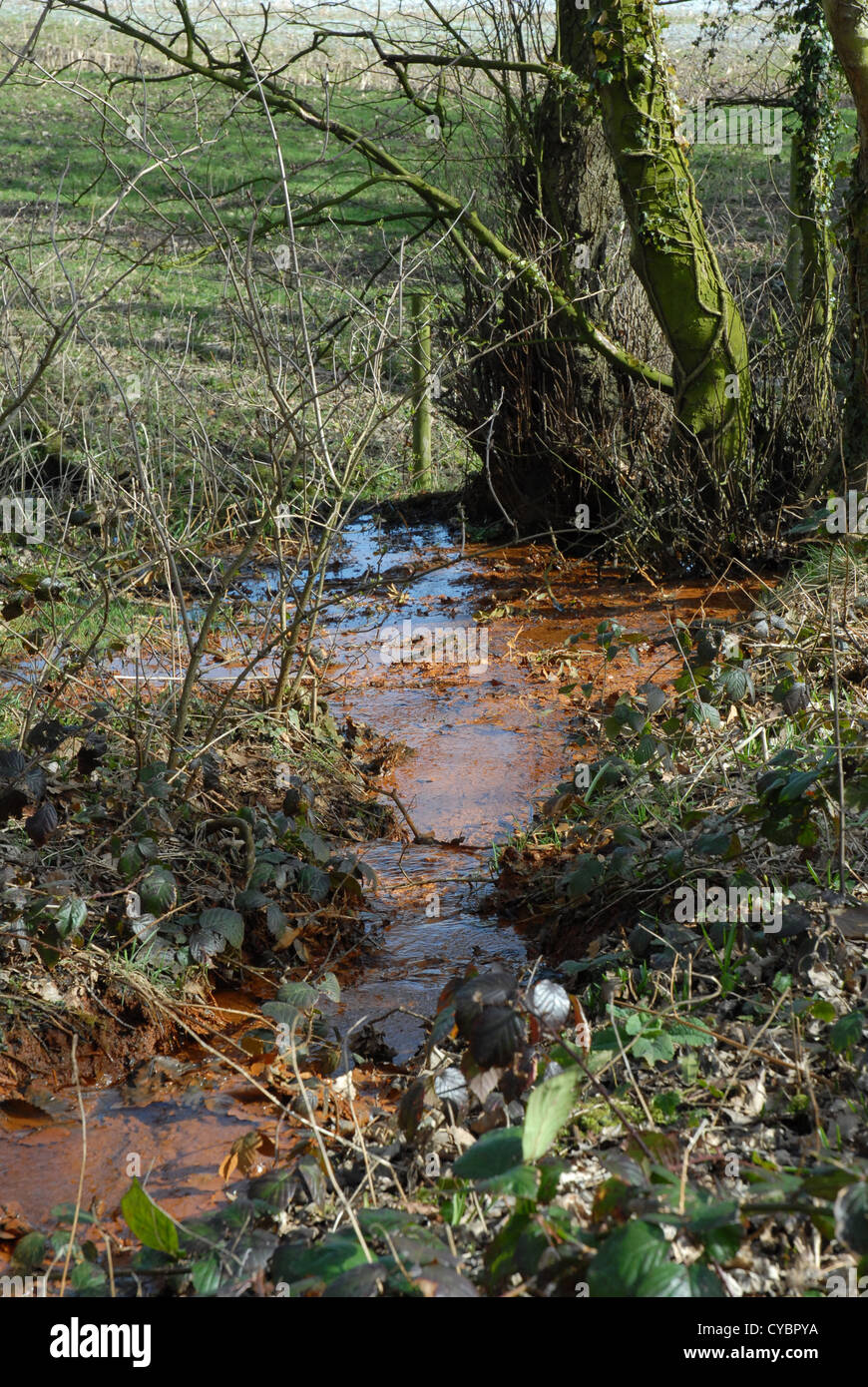 Polluted stream running through woods hi-res stock photography and ...