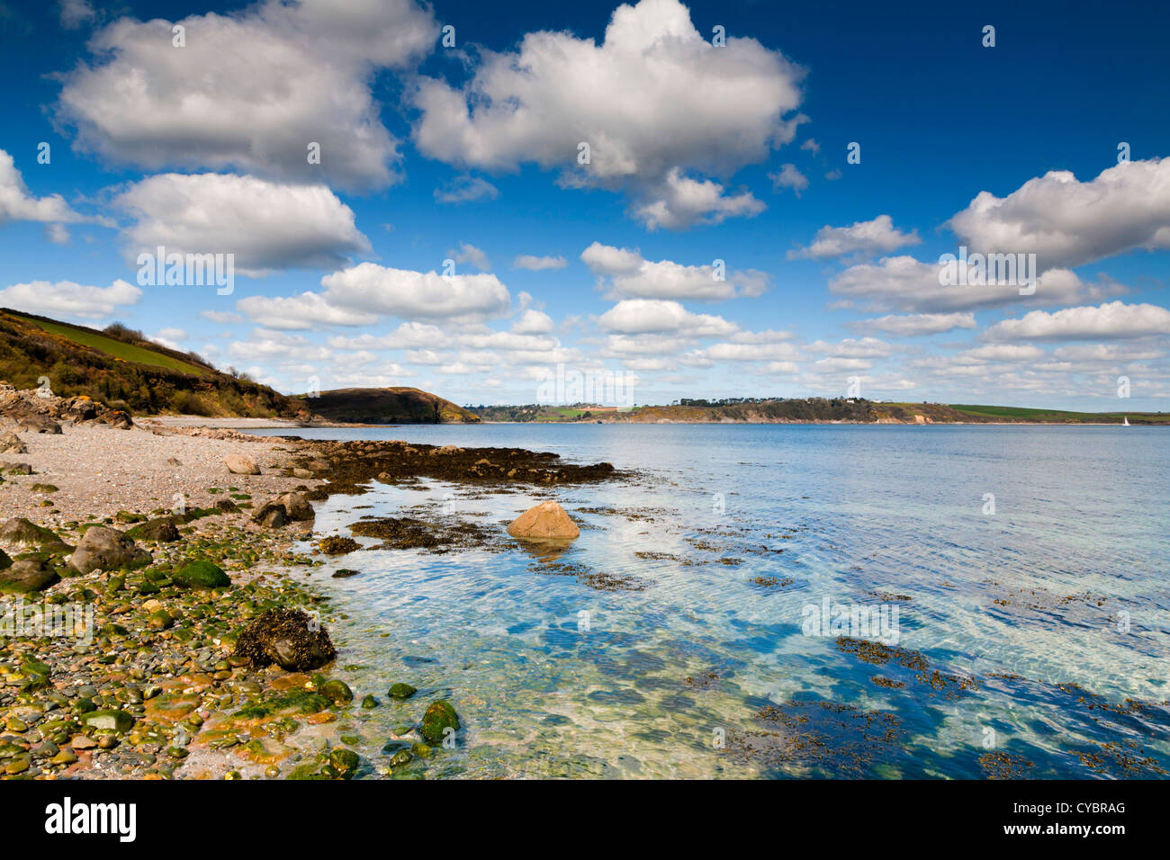 Nare Point; Lizard; Cornwall; UK; beach Stock Photo - Alamy