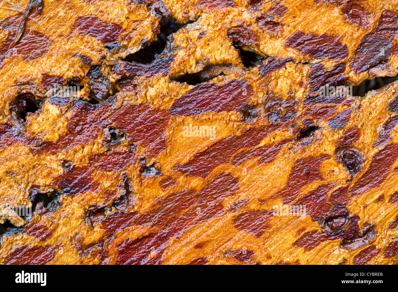 Pattern in Timber Stock Photo - Alamy