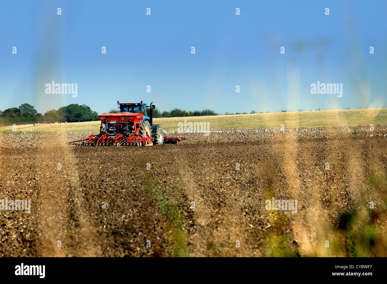 Red tractor field hi-res stock photography and images - Alamy