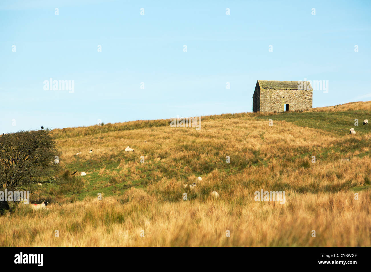 English barns hi-res stock photography and images - Alamy