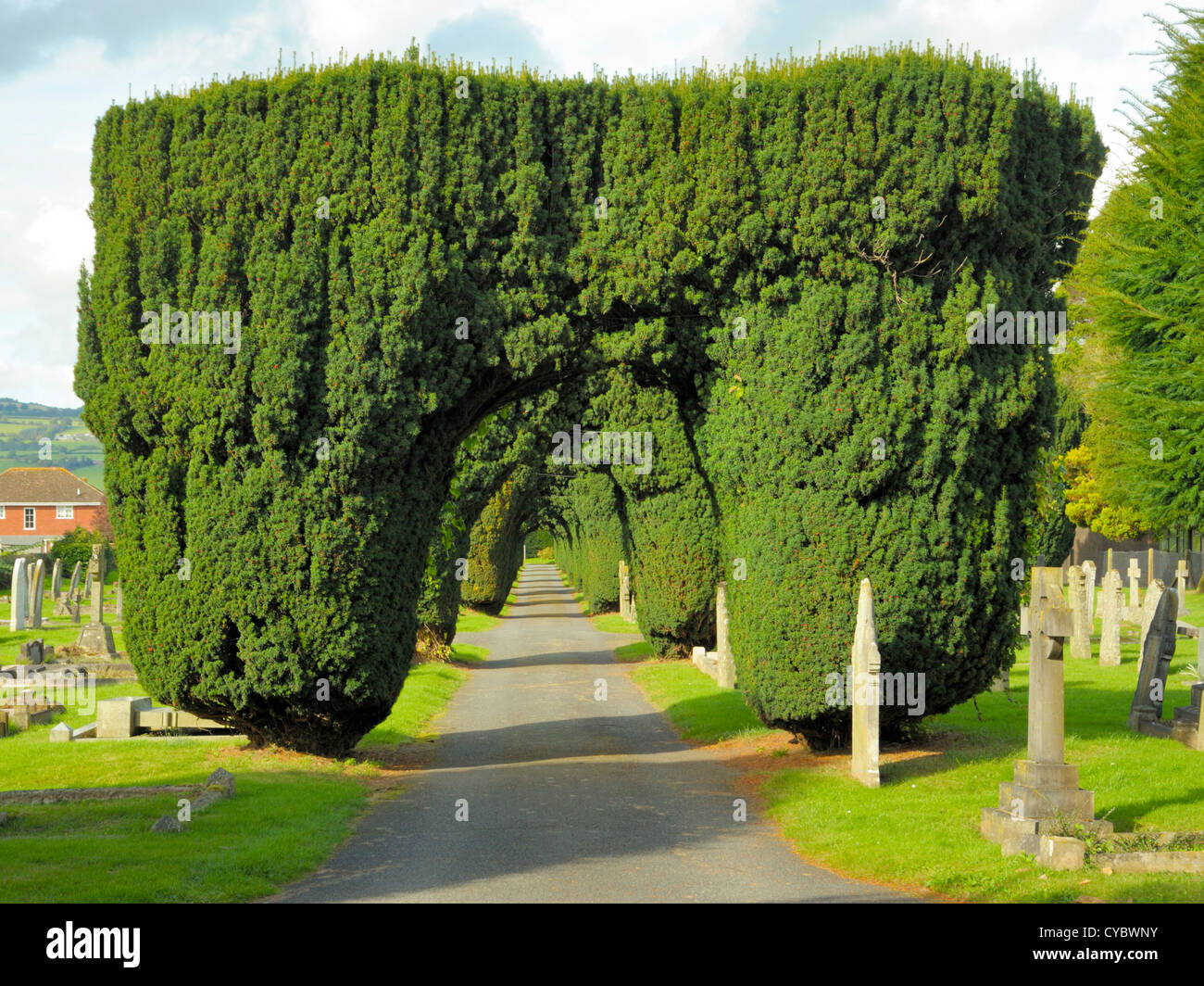 Tunnel arbour arbor archway hi-res stock photography and images - Alamy