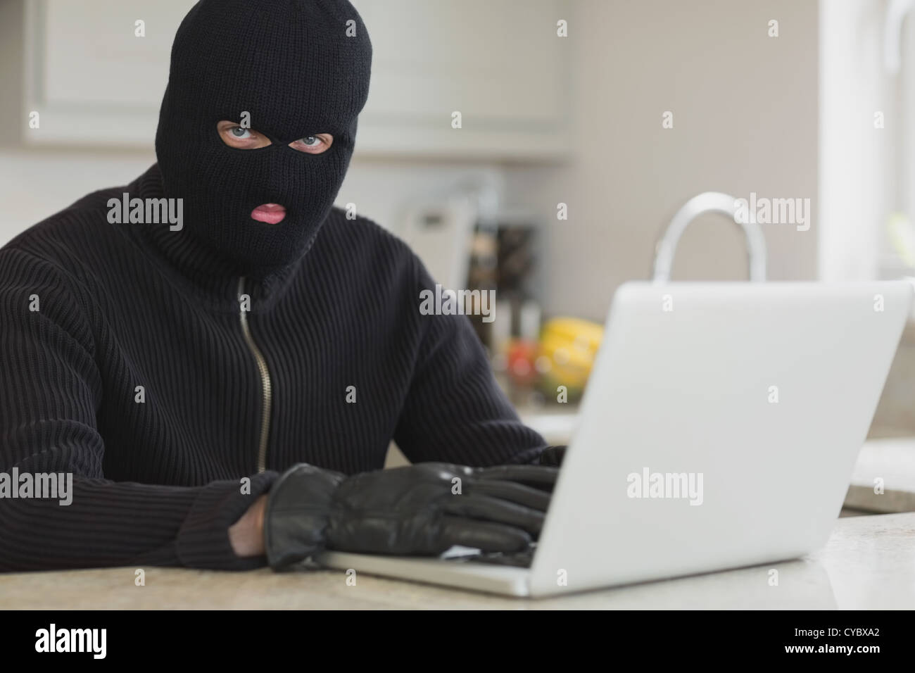 Burglar using laptop Stock Photo - Alamy