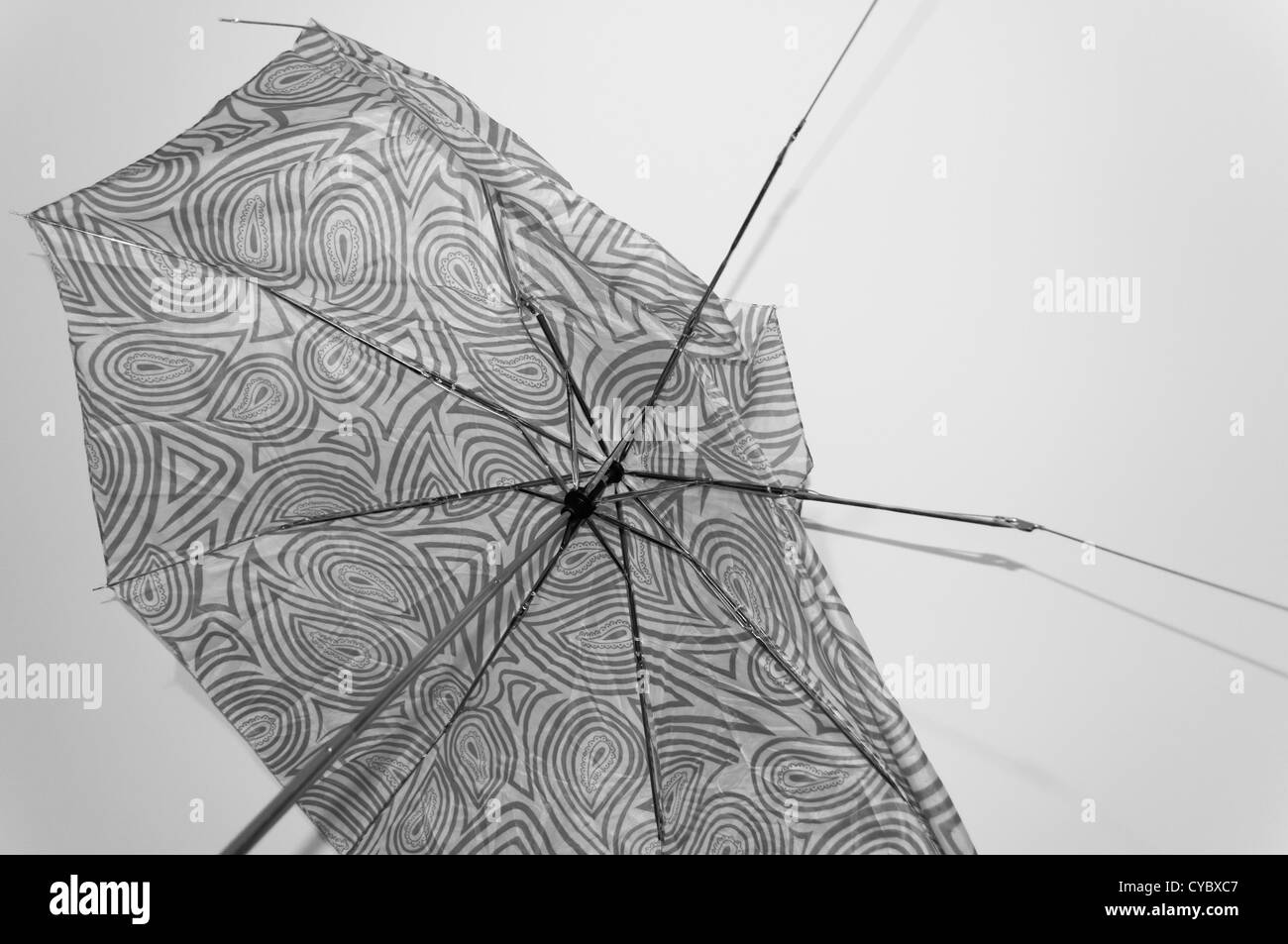 Cheap umbrella hi-res stock photography and images - Alamy
