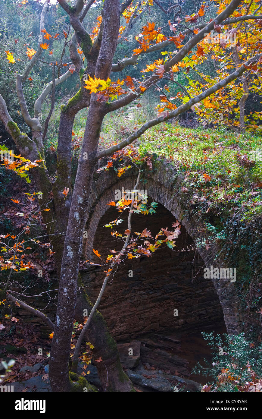 Hundreds of years old stone bridge as part of an old mule track on ...