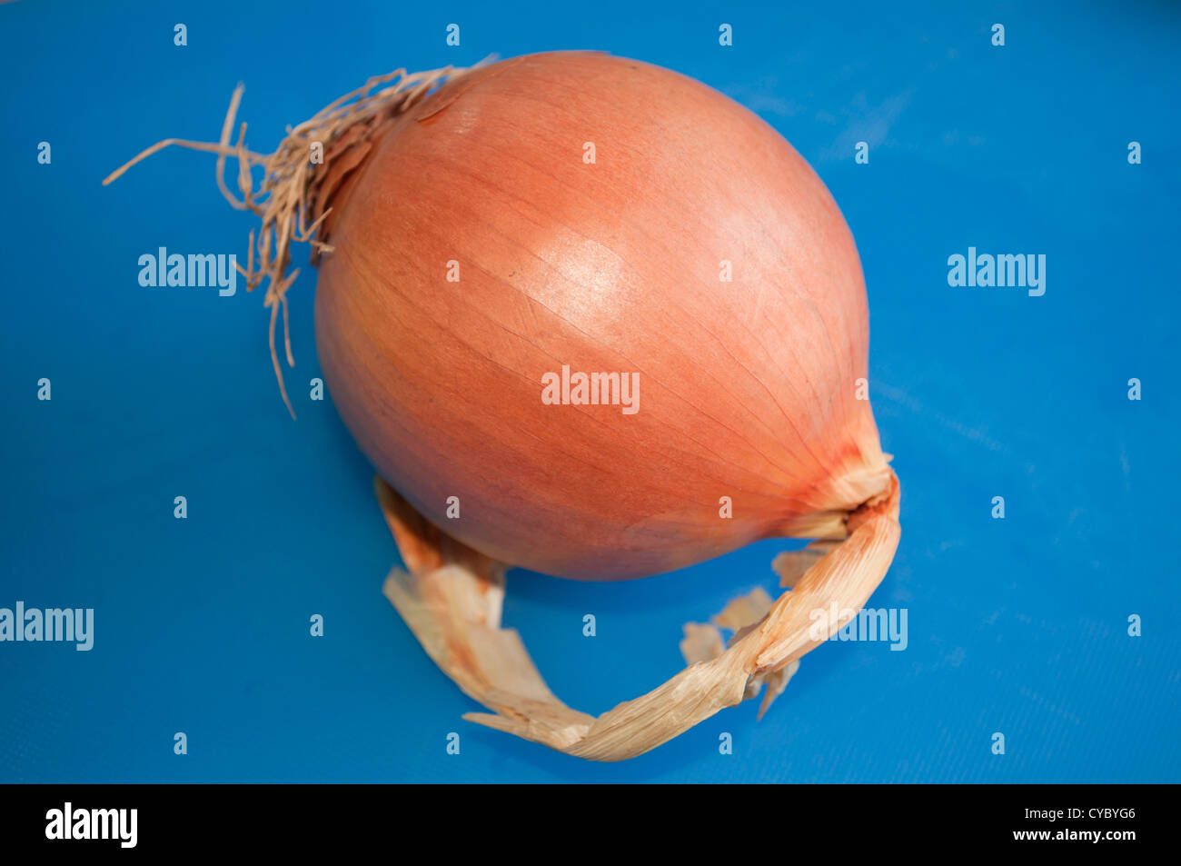 Onion stalk hi-res stock photography and images - Alamy