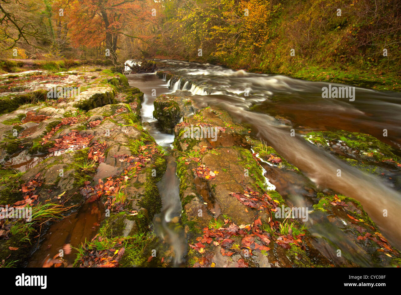 The River Mellte, just above Sgwd Pannwr waterfall, Ystradfellte ...