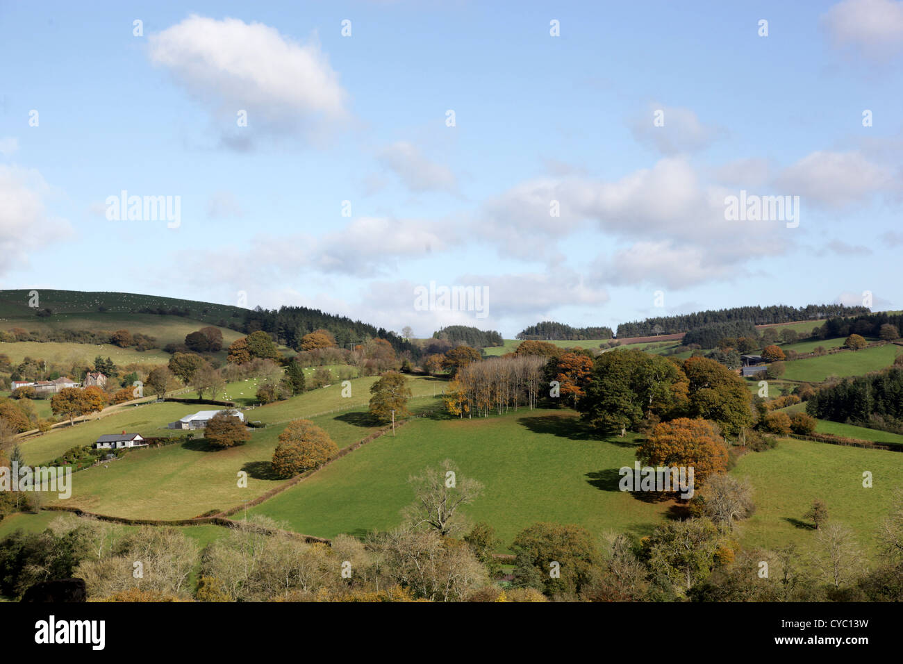 Agricultural landscape near Knighton, Powys, Wales, UK Stock Photo - Alamy