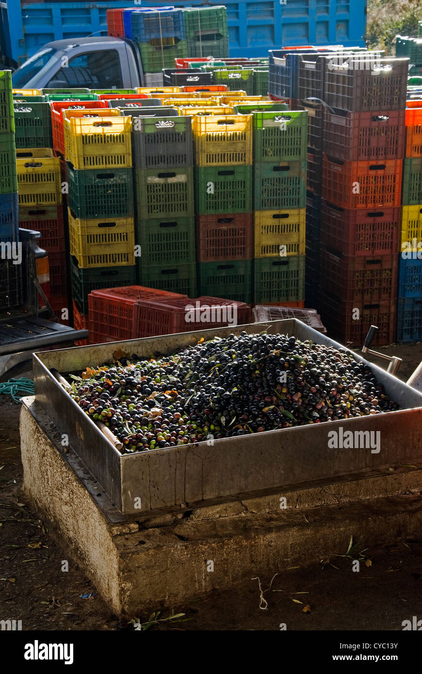 Olive oil extraction hi-res stock photography and images - Alamy