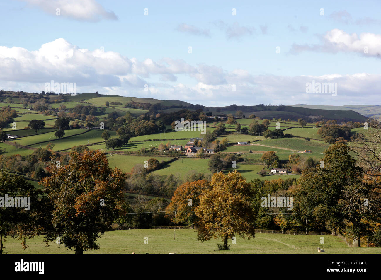 Powys farmland landscape hi-res stock photography and images - Alamy