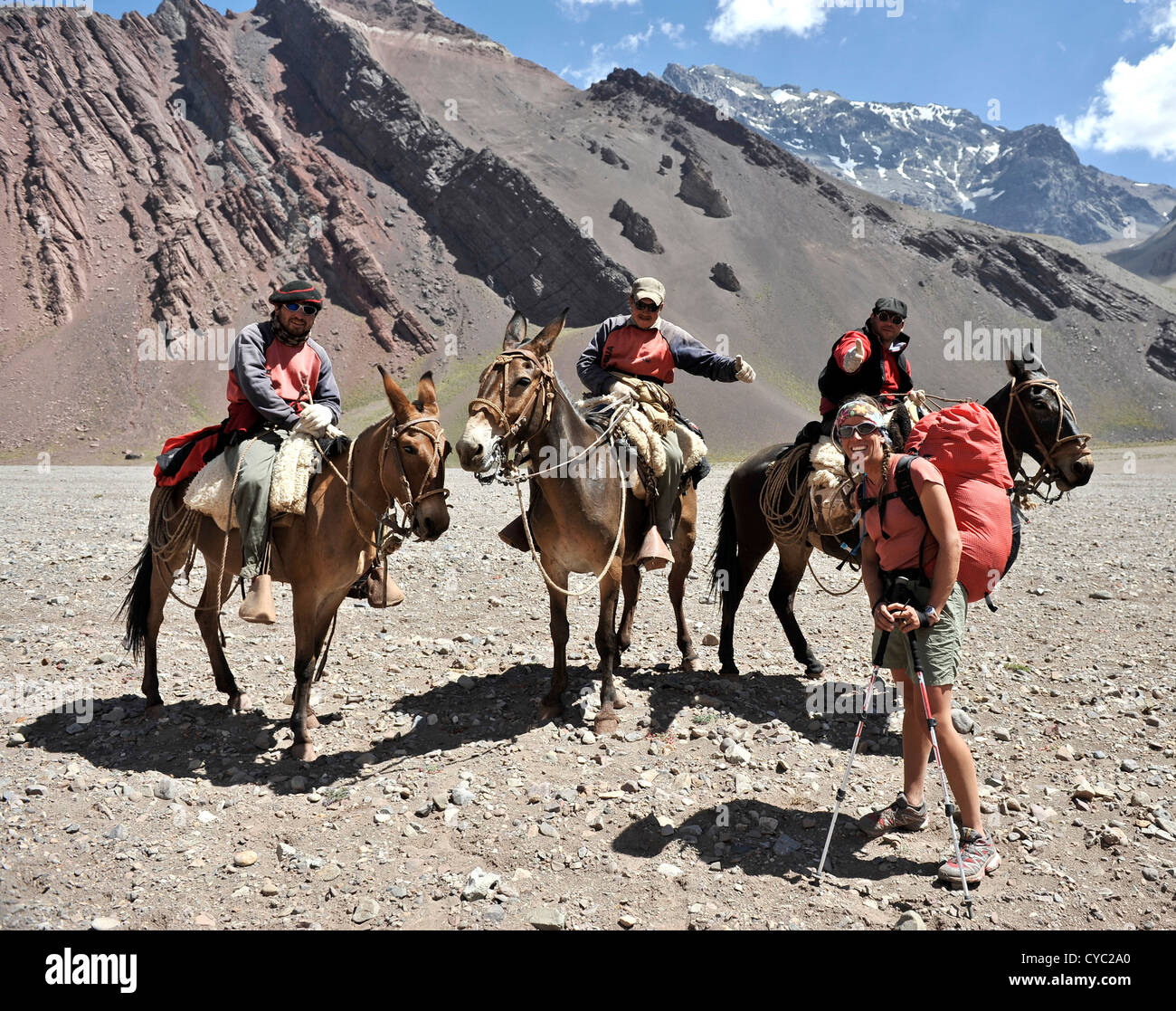 Muleteers that run mule trains to Aconcagua base camps Stock Photo - Alamy