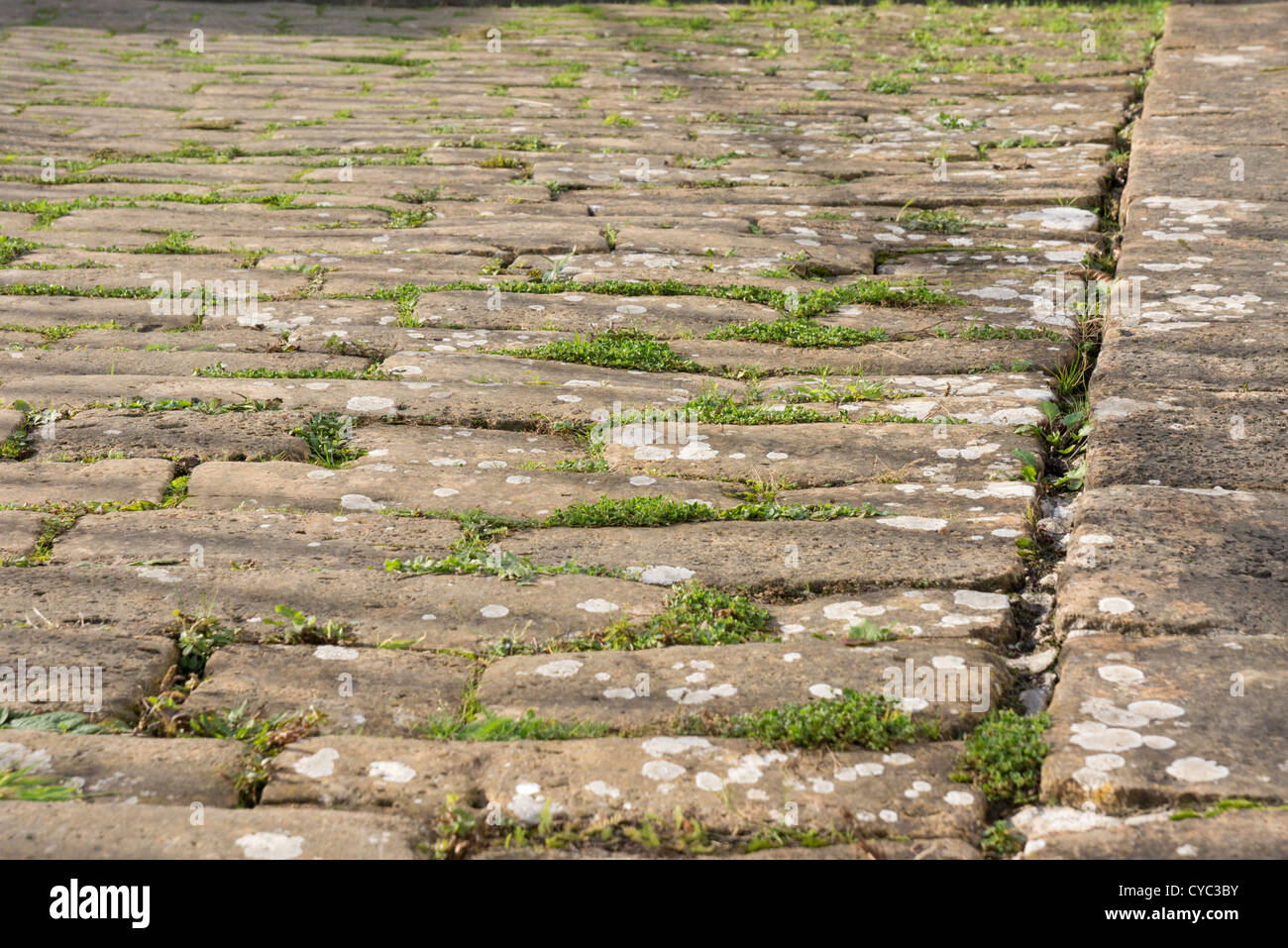 Mottled and slightly overgrown stone path in Beaminster a small town in ...