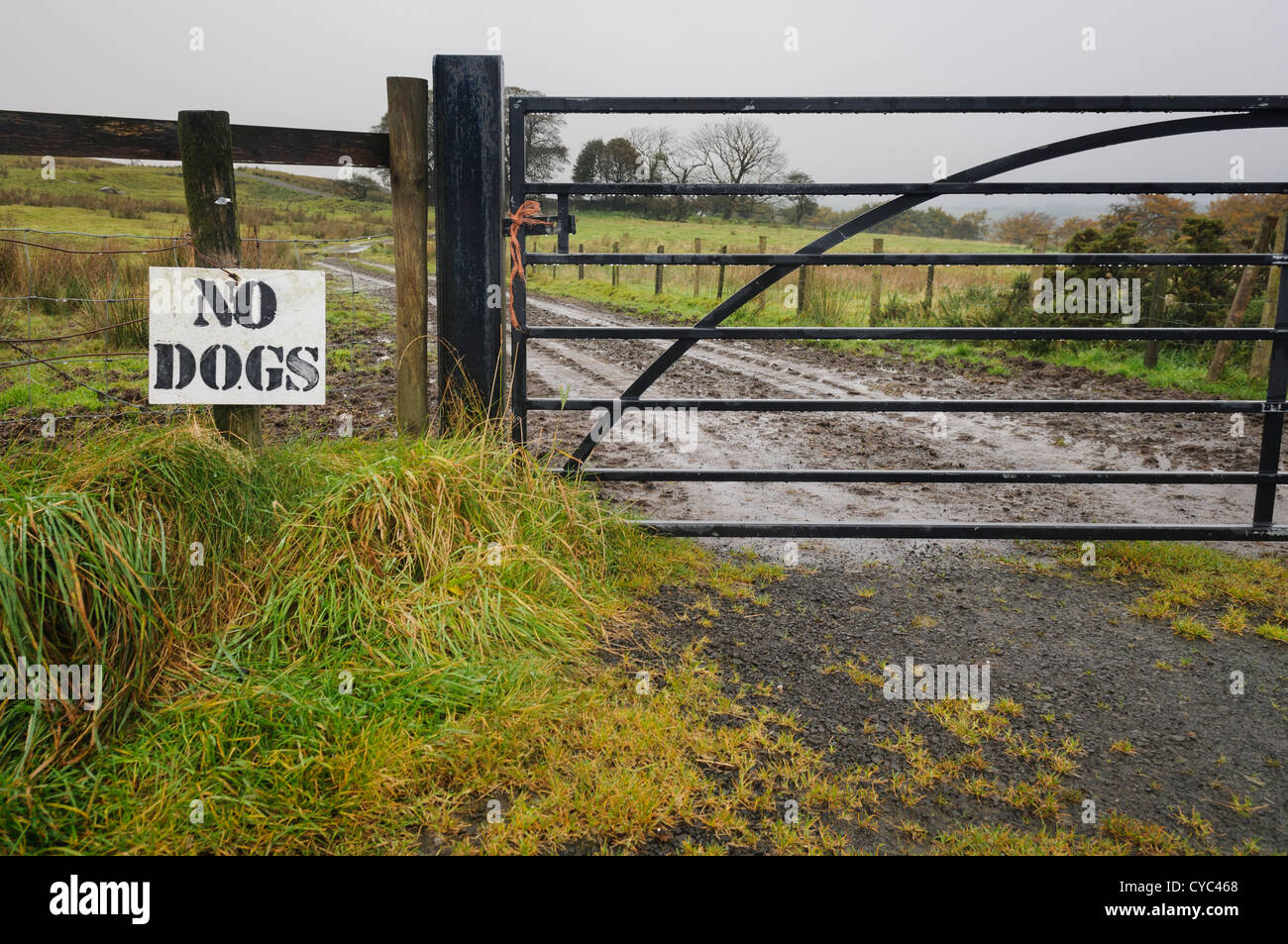 Sign on a fence around a field saying "No Dogs" to prevent people ...