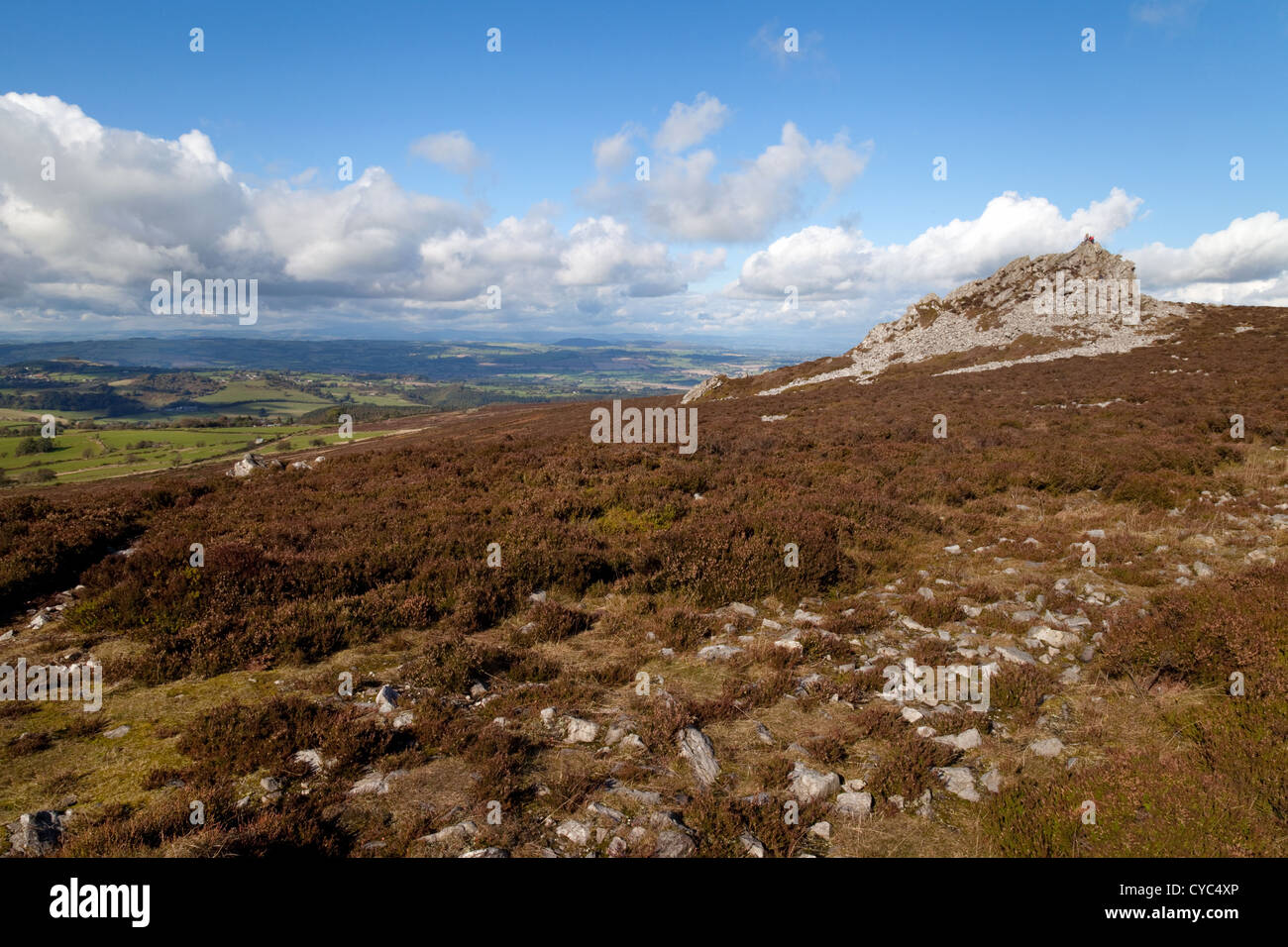 Manstone Rock, the Stiperstones national reserve, Shropshire England UK ...