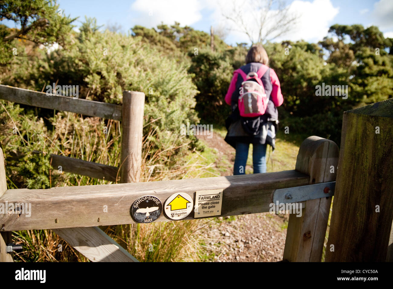 A walker walking the Shropshire Way path, Stiperstones National Park ...