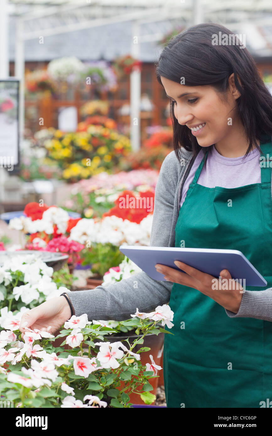 Employee choosing white flowers in garden center Stock Photo - Alamy