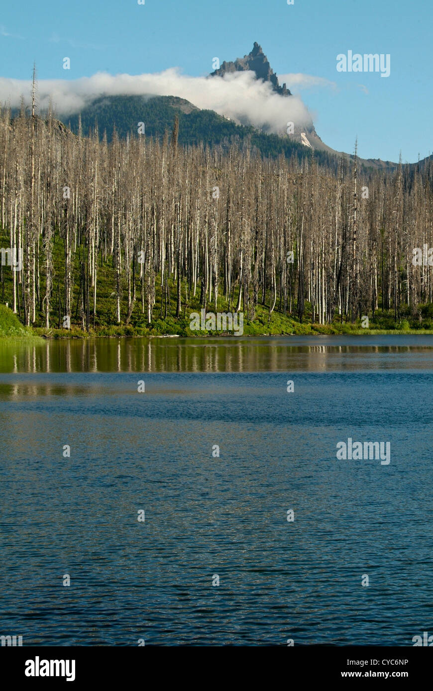 Square Lake and Three Finger Jack, Oregon Stock Photo - Alamy