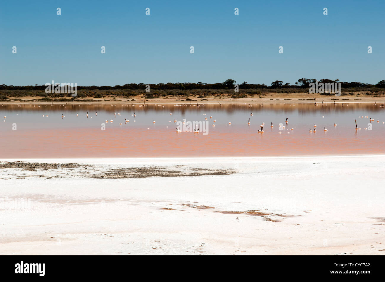 Climate change australia hi-res stock photography and images - Alamy