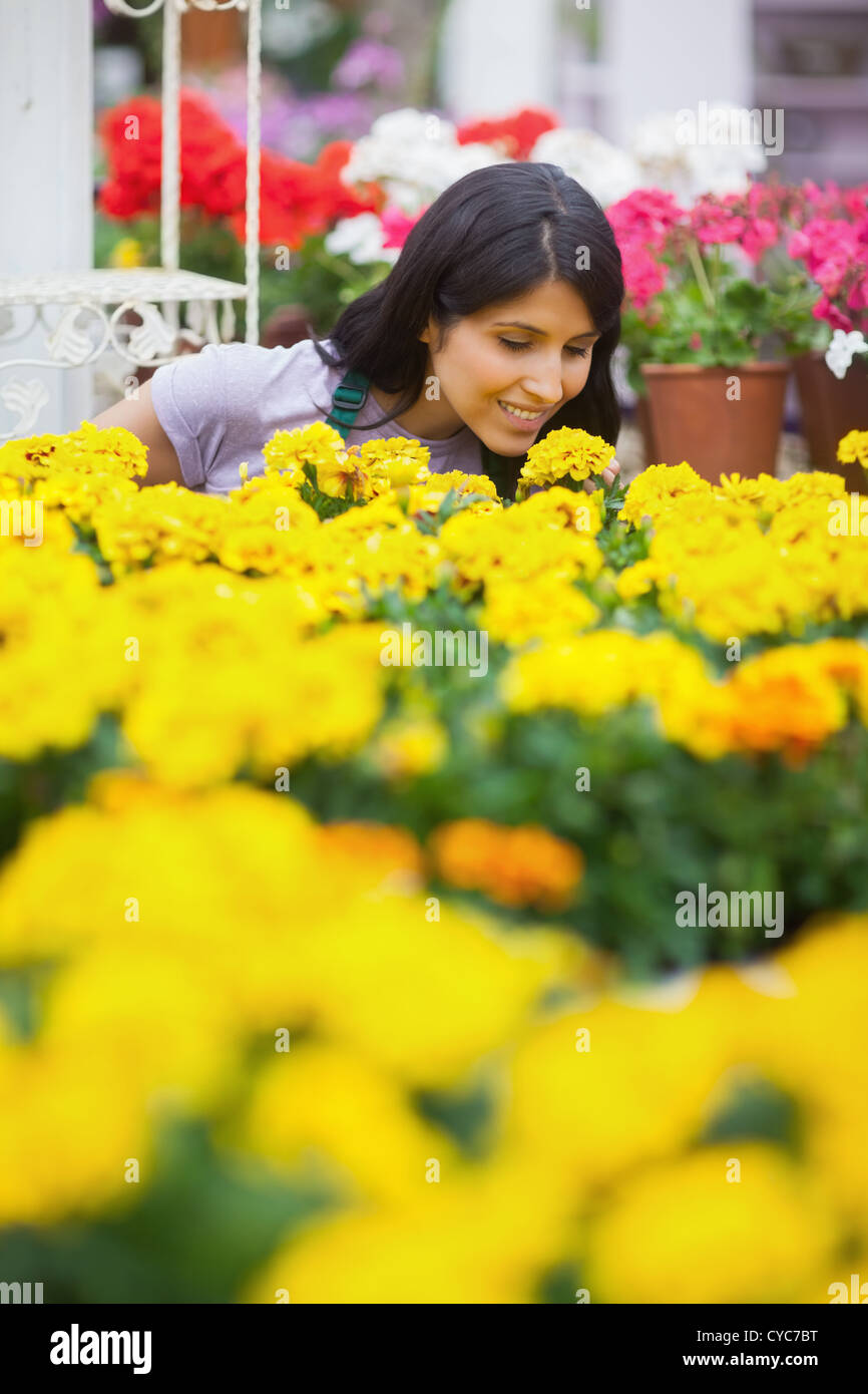 Woman smelling yellow flowers Stock Photo - Alamy