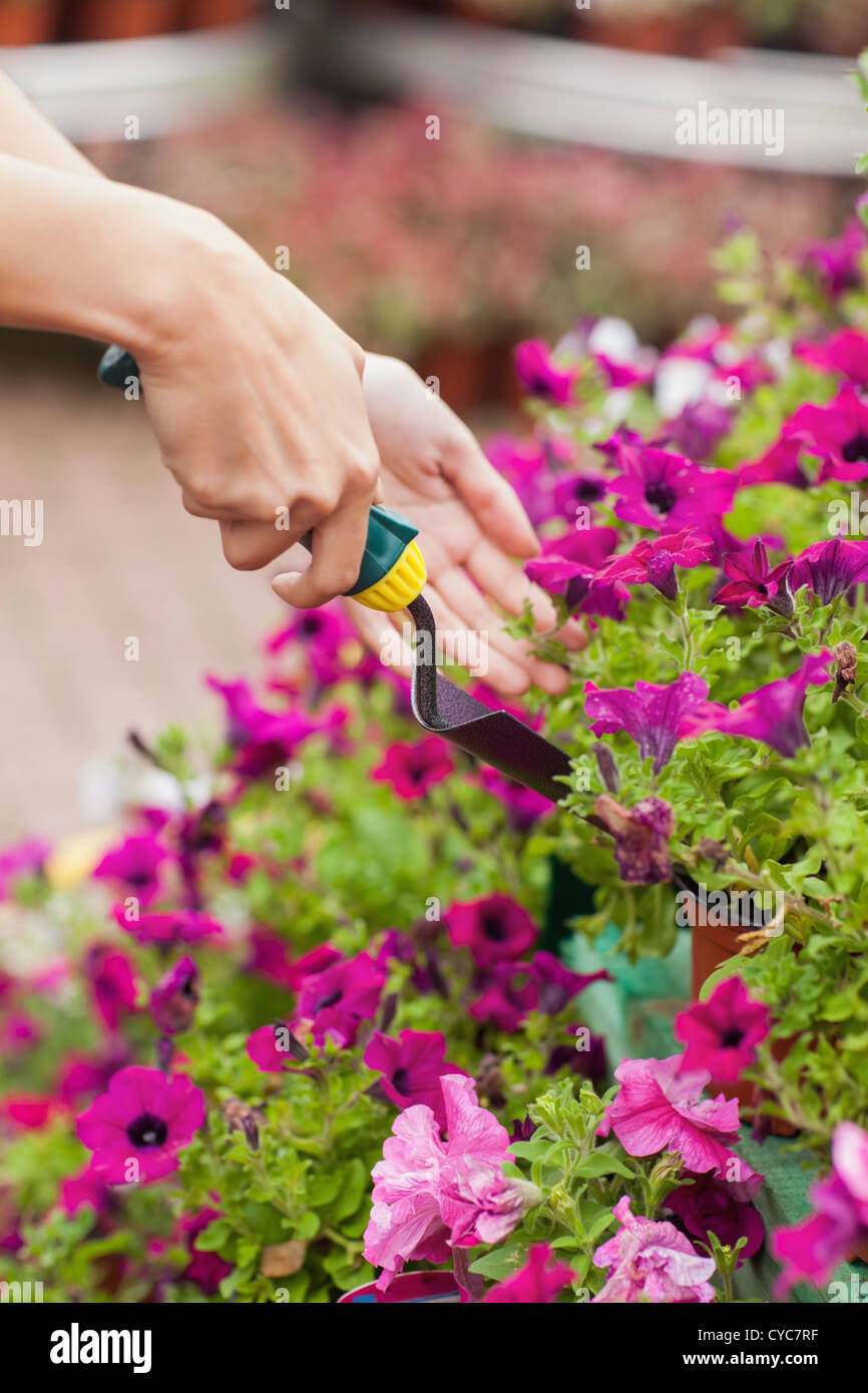 Spading hi-res stock photography and images - Alamy