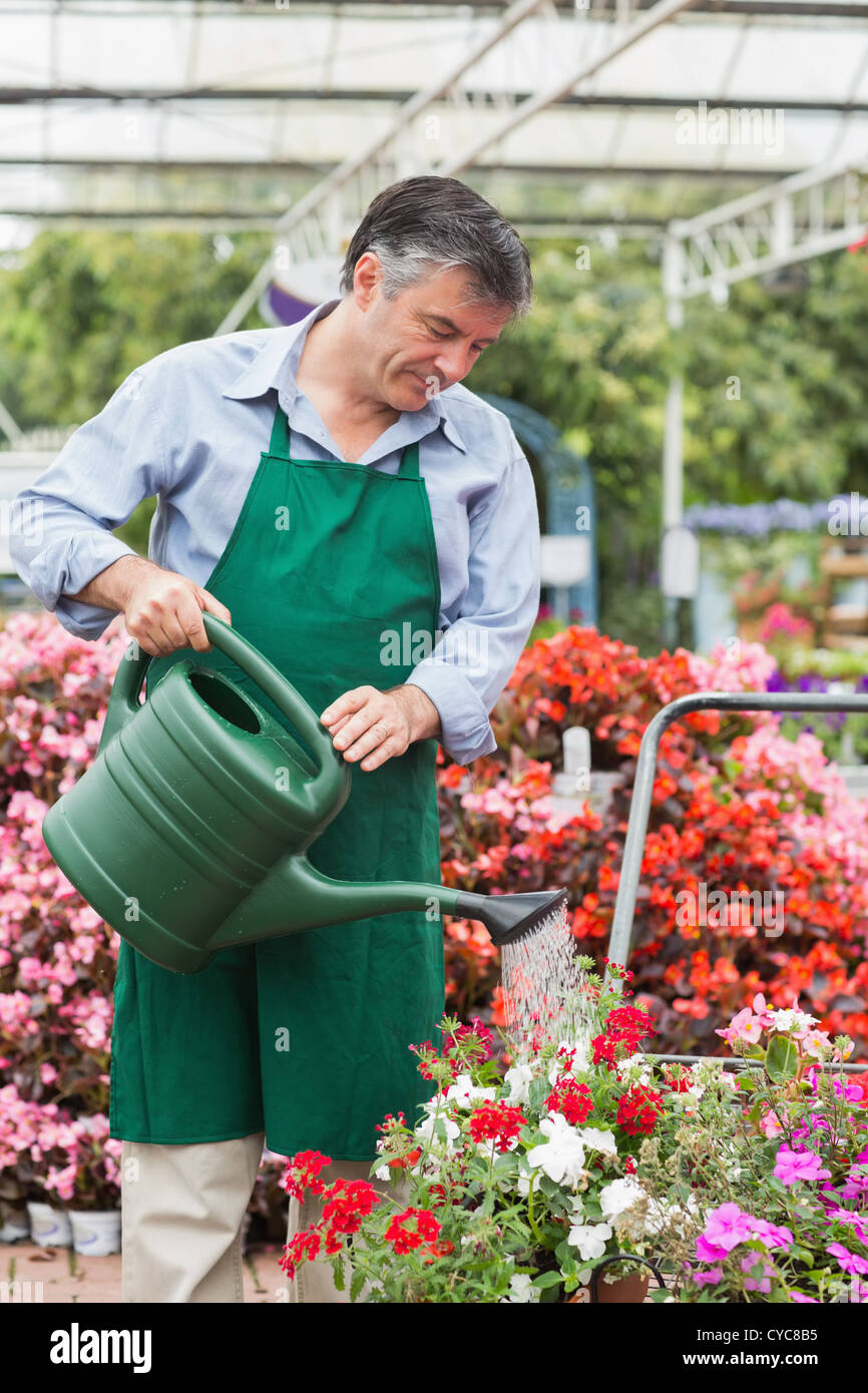 Gardener watering plants Stock Photo - Alamy