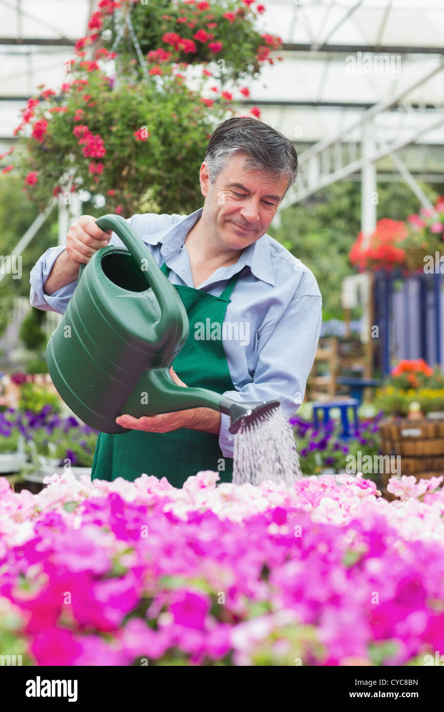 Smiling man watering flowers Stock Photo - Alamy