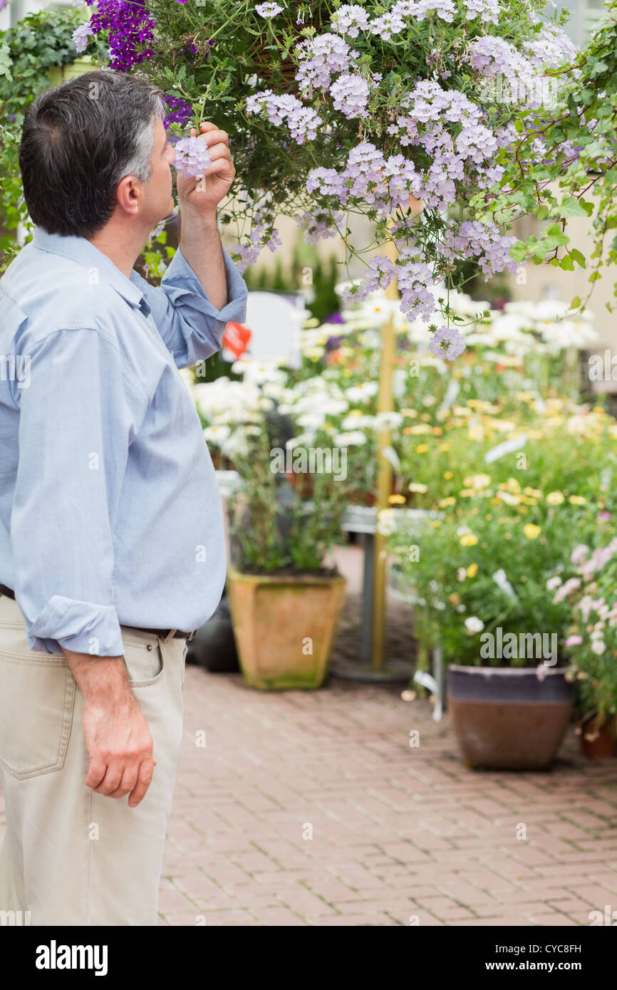Customer smelling hanging basket Stock Photo - Alamy