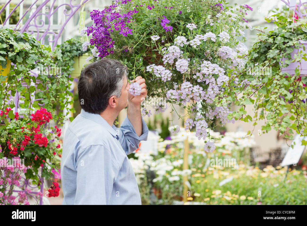Man smelling flower Stock Photo - Alamy