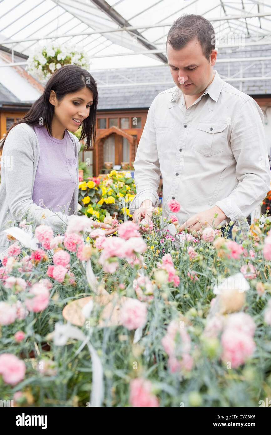 Couple choosing flowers Stock Photo - Alamy