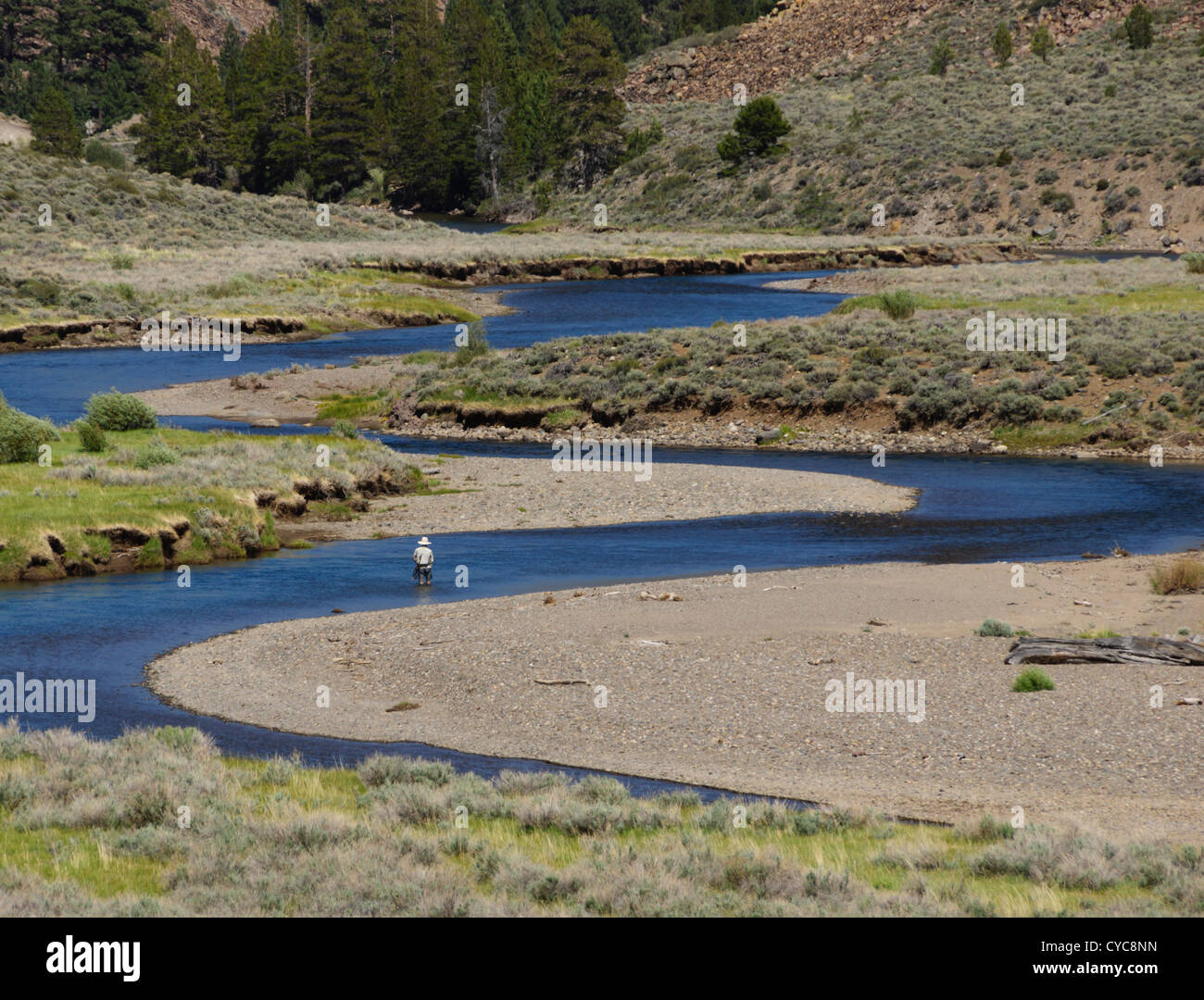 Sierra Nevada, California - Stanislaus River meandering bends before ...