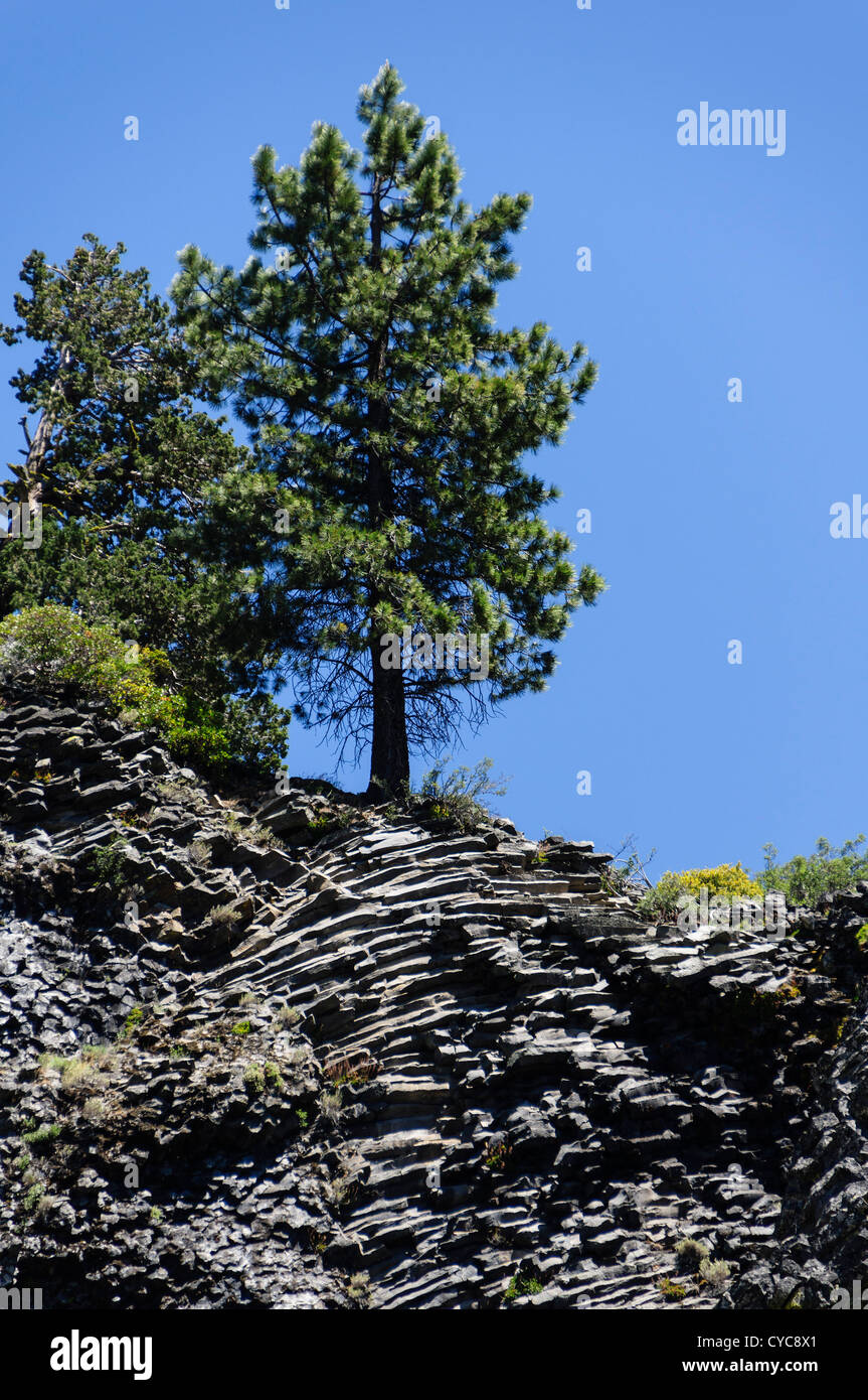 Sonora Pass, Sierra Nevada, California - Columns of the Giants trail ...