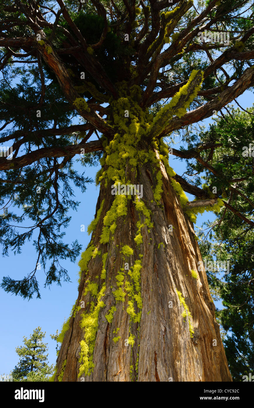 Donnell vista hi-res stock photography and images - Alamy