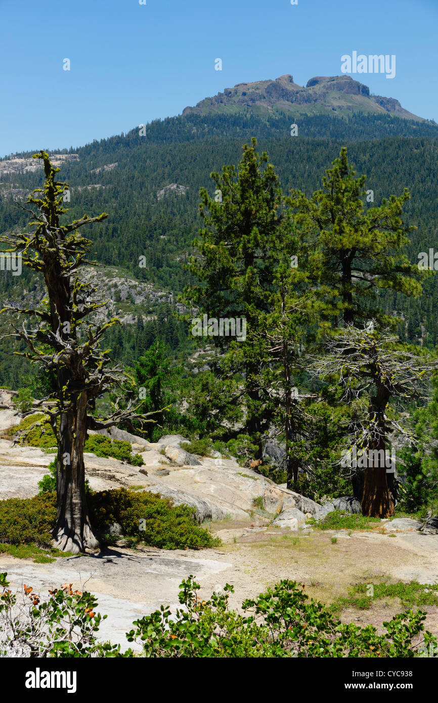 Sonora Pass, Sierra Nevada, California - at Donnell Vista recreation ...