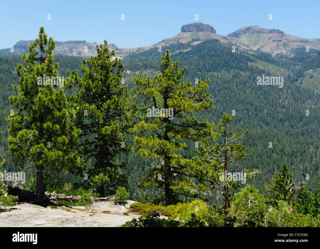 Sonora Pass, Sierra Nevada, California - at Donnell Vista recreation ...