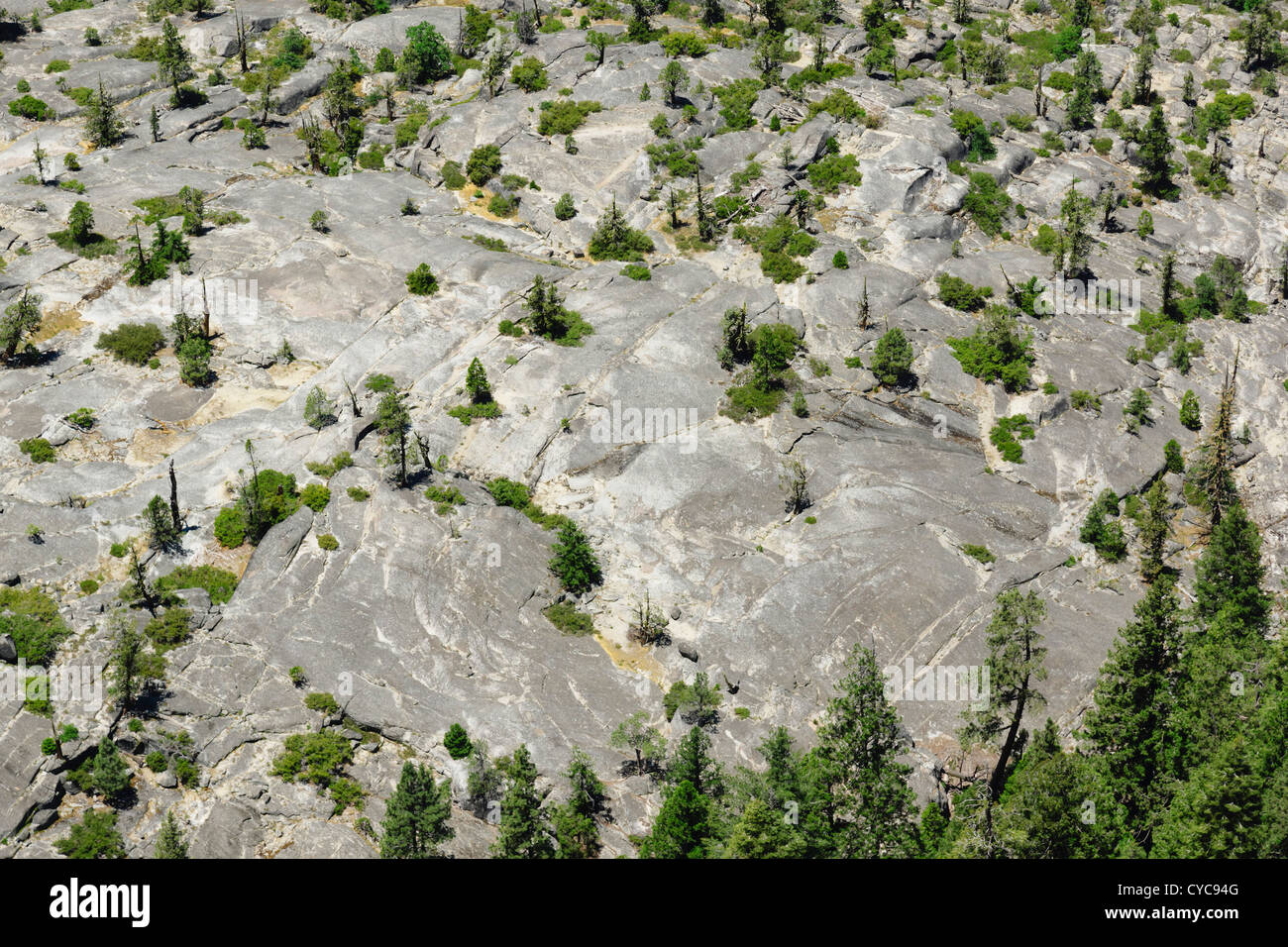 Sonora Pass, Sierra Nevada, California - Donnell Lake viewpoint. Trees ...