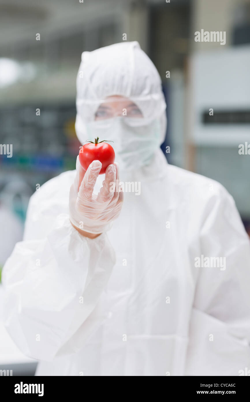 Woman wearing protective suit holding a tomato Stock Photo - Alamy