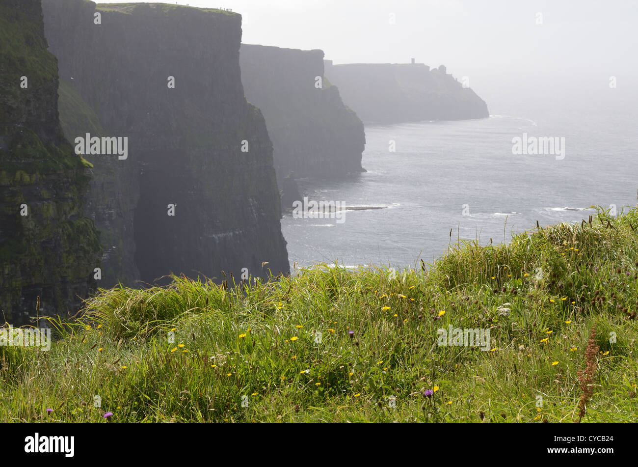 The famous Cliffs of Moher in Ireland Stock Photo - Alamy