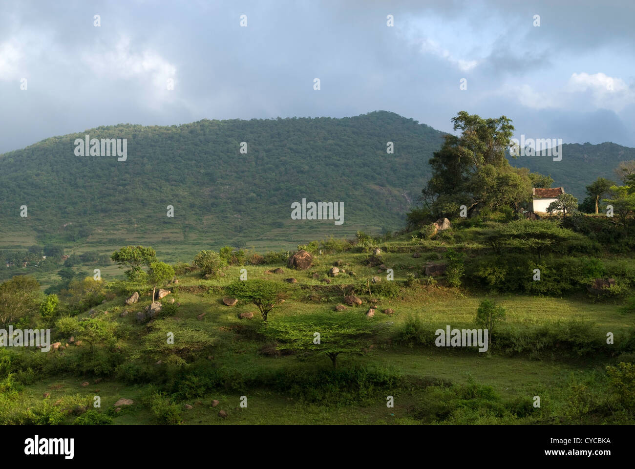 Coimbatore High Resolution Stock Photography and Images - Alamy