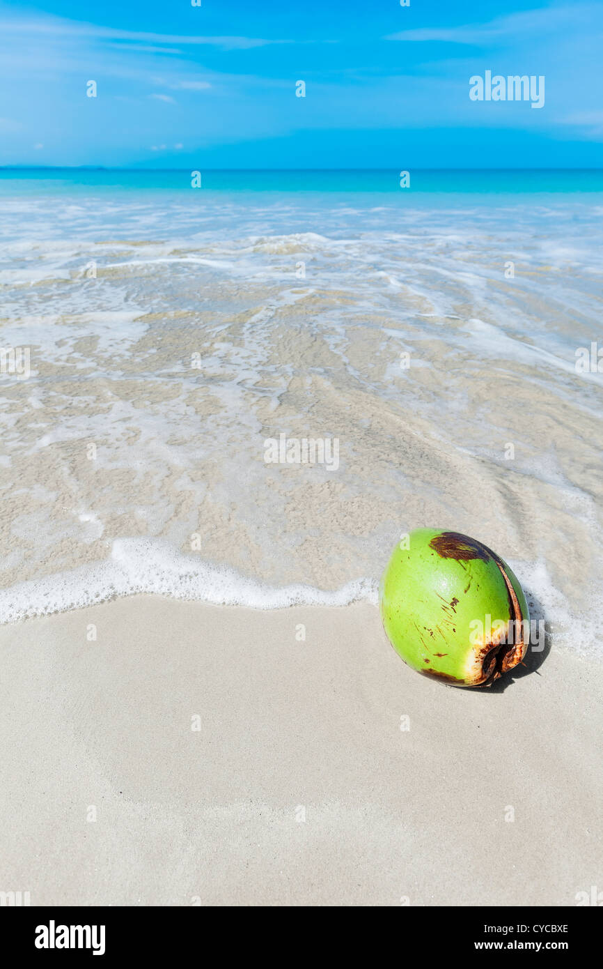 Wave coconut hi-res stock photography and images - Alamy