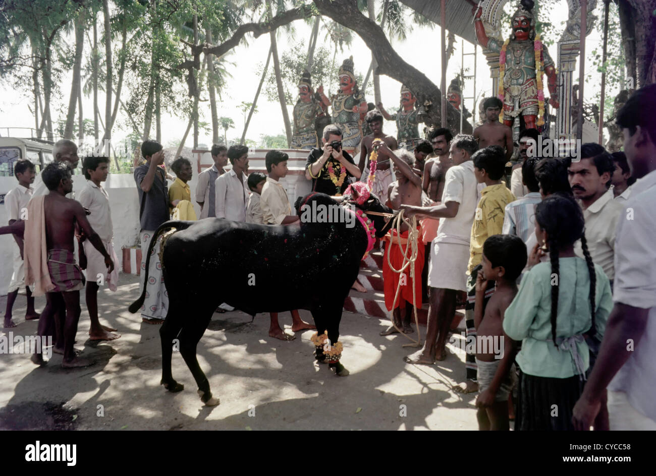 Bull deity hi-res stock photography and images - Alamy