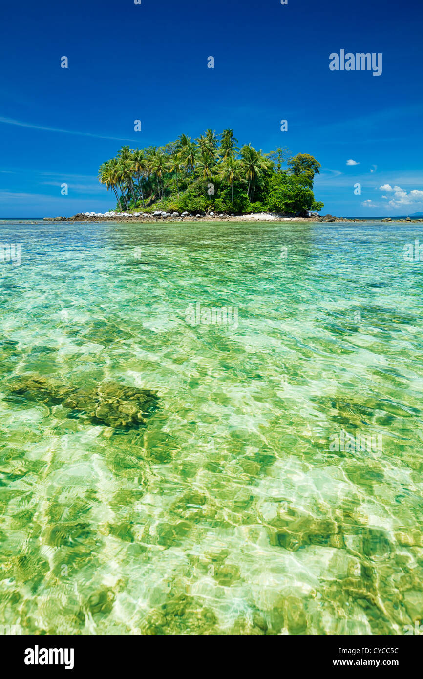 Tropical island. Vertical shot Stock Photo - Alamy