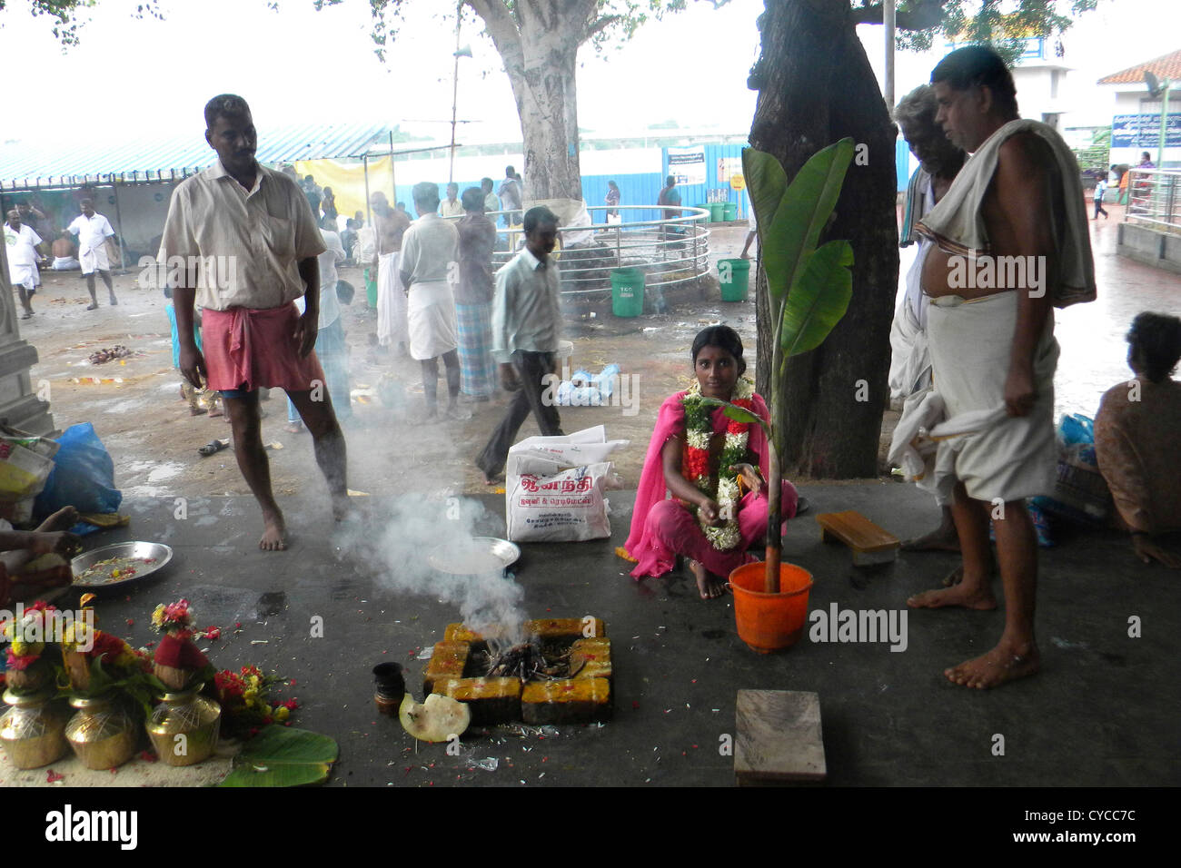 India, Tamil Nadu, Trichy, Srirangam temple, daily life and ritual on ...
