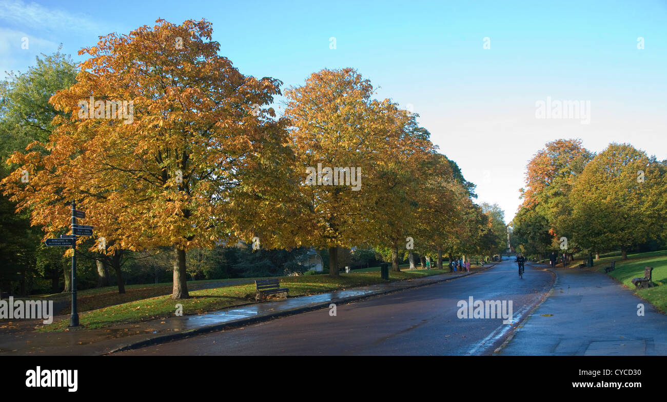 The royal victoria park hi-res stock photography and images - Alamy