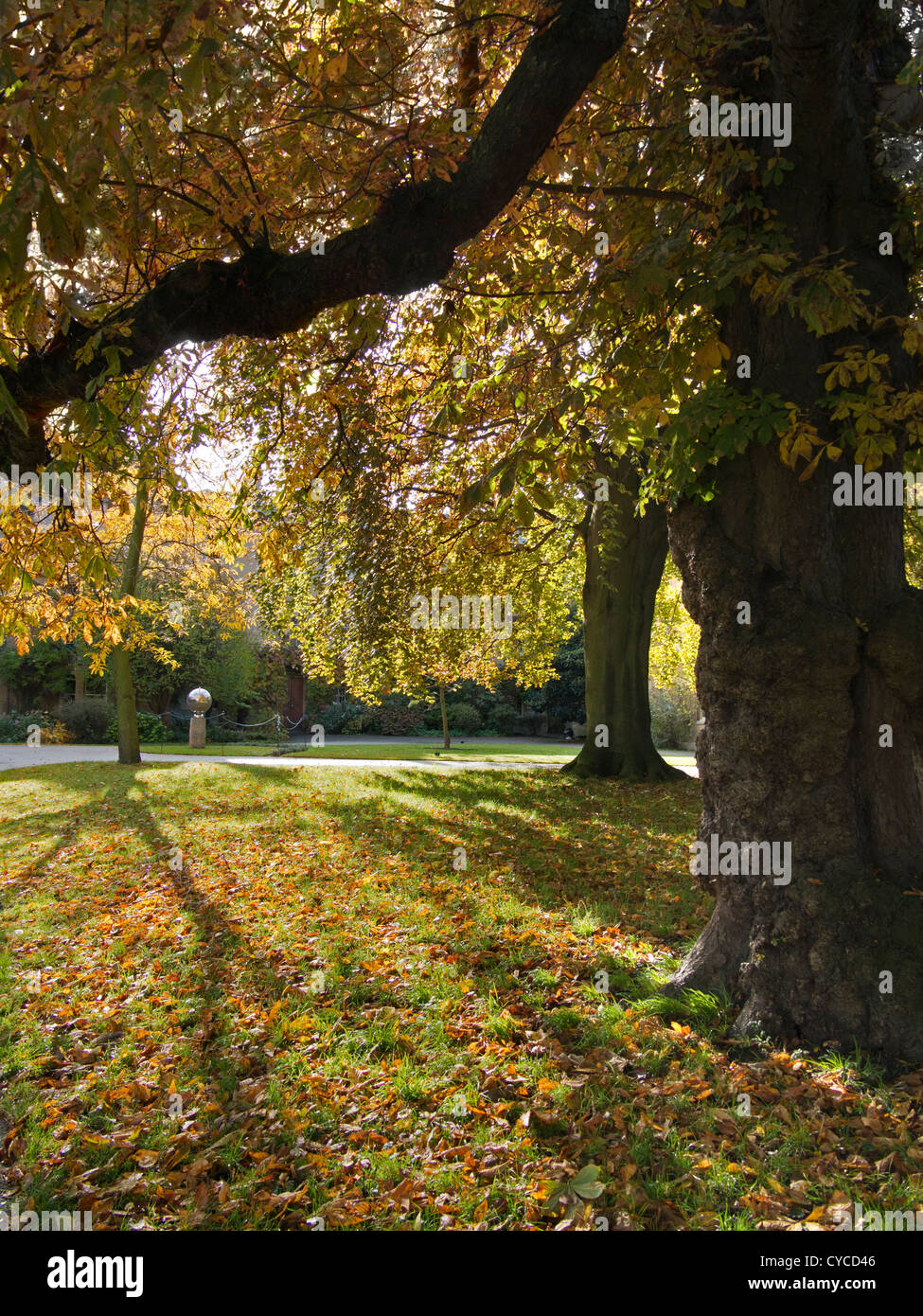 Autumn colour in the Garden Quadrangle of Balliol College, Oxford Stock ...